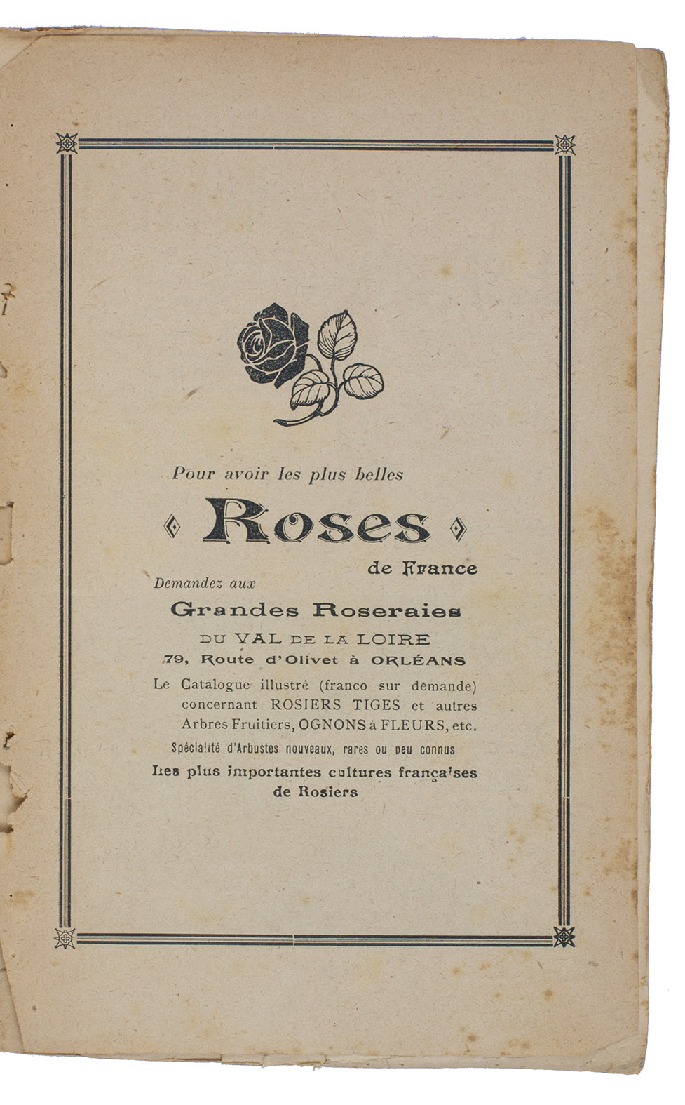Extremely rare work on the cultivation of roses in North Africa ...
